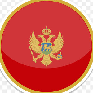 Teokit - easy way to integrate GNSS to DJI Phantom 4